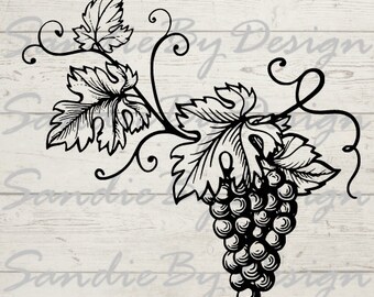 Grape Vine Svg - Etsy