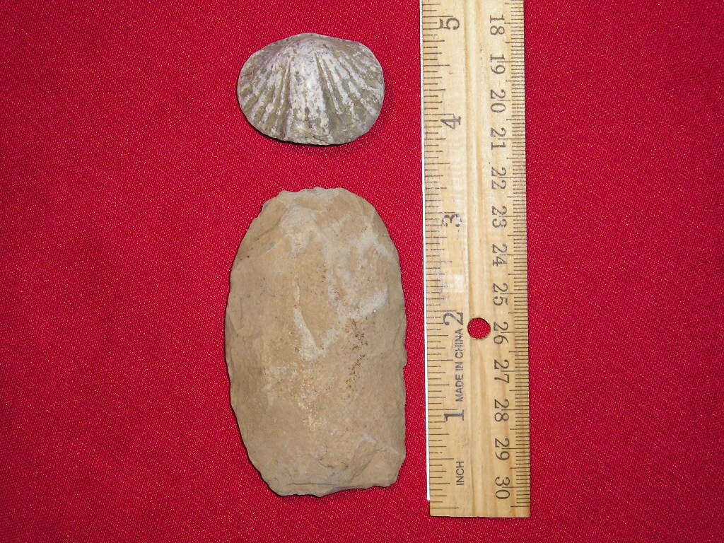 Prehistoric Indian Flint Celt Artifact and Brachiopod Fossil - Etsy