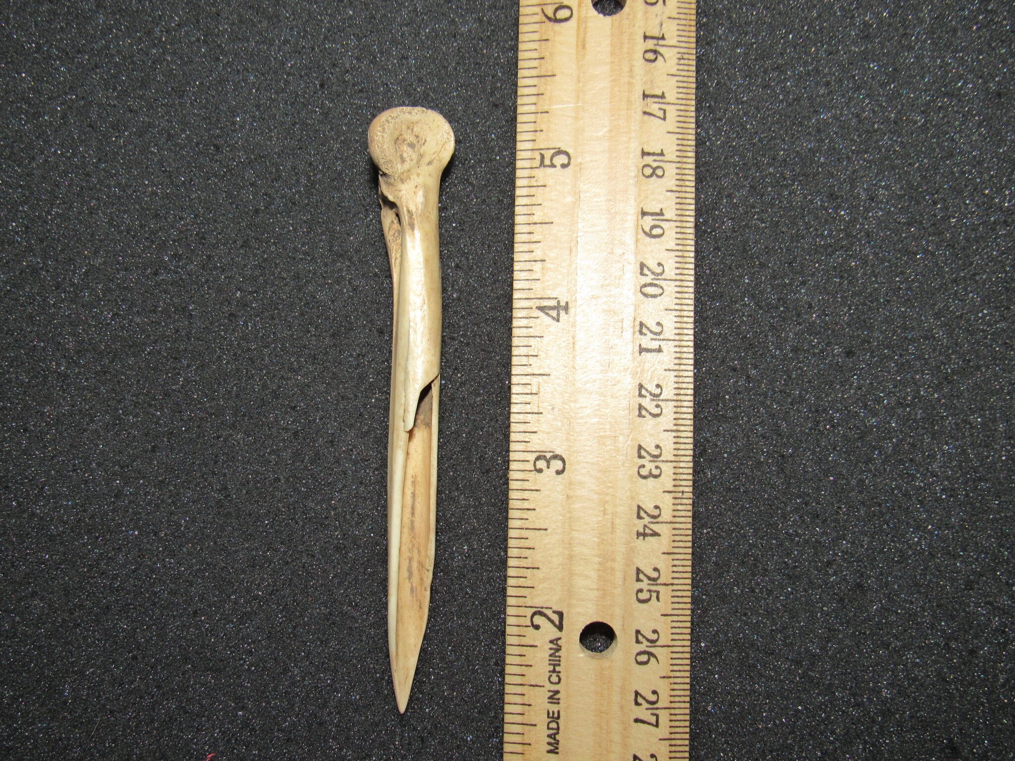 Prehistoric Indian Bone Awl Artifact Iaga Coa Etsy