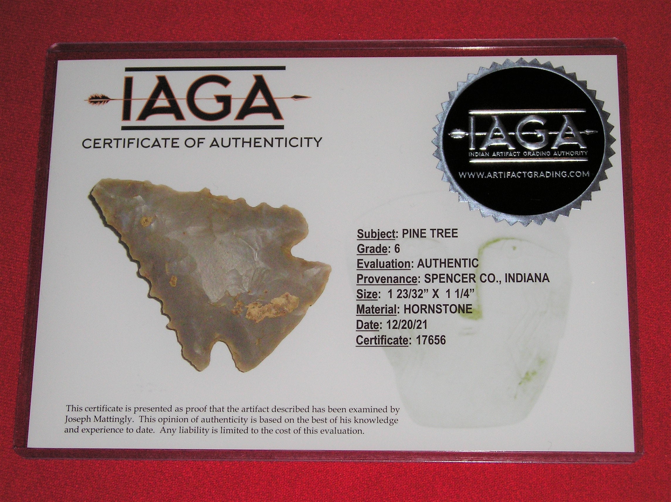 Prehistoric Indian Pine Tree Arrowhead - IAGA COA - Etsy