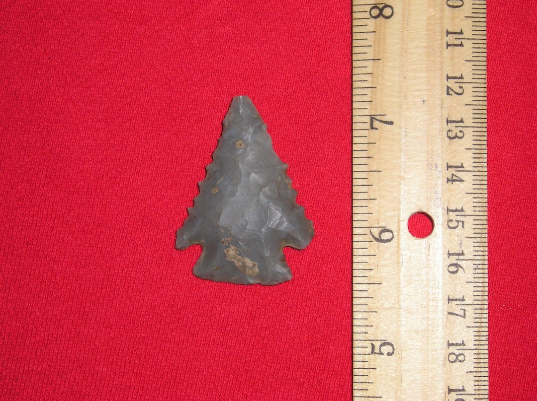 Prehistoric Indian Pine Tree Arrowhead - IAGA COA - Etsy