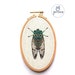 PDF Green Cicada Embroidery Pattern and Instructions Downloadable ...