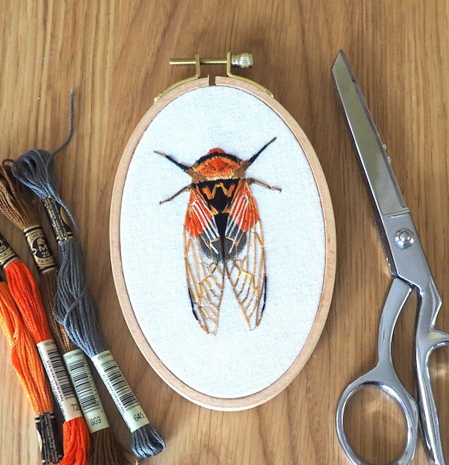 PDF Cicada Embroidery Pattern and Instructions Downloadable Cicada - Etsy