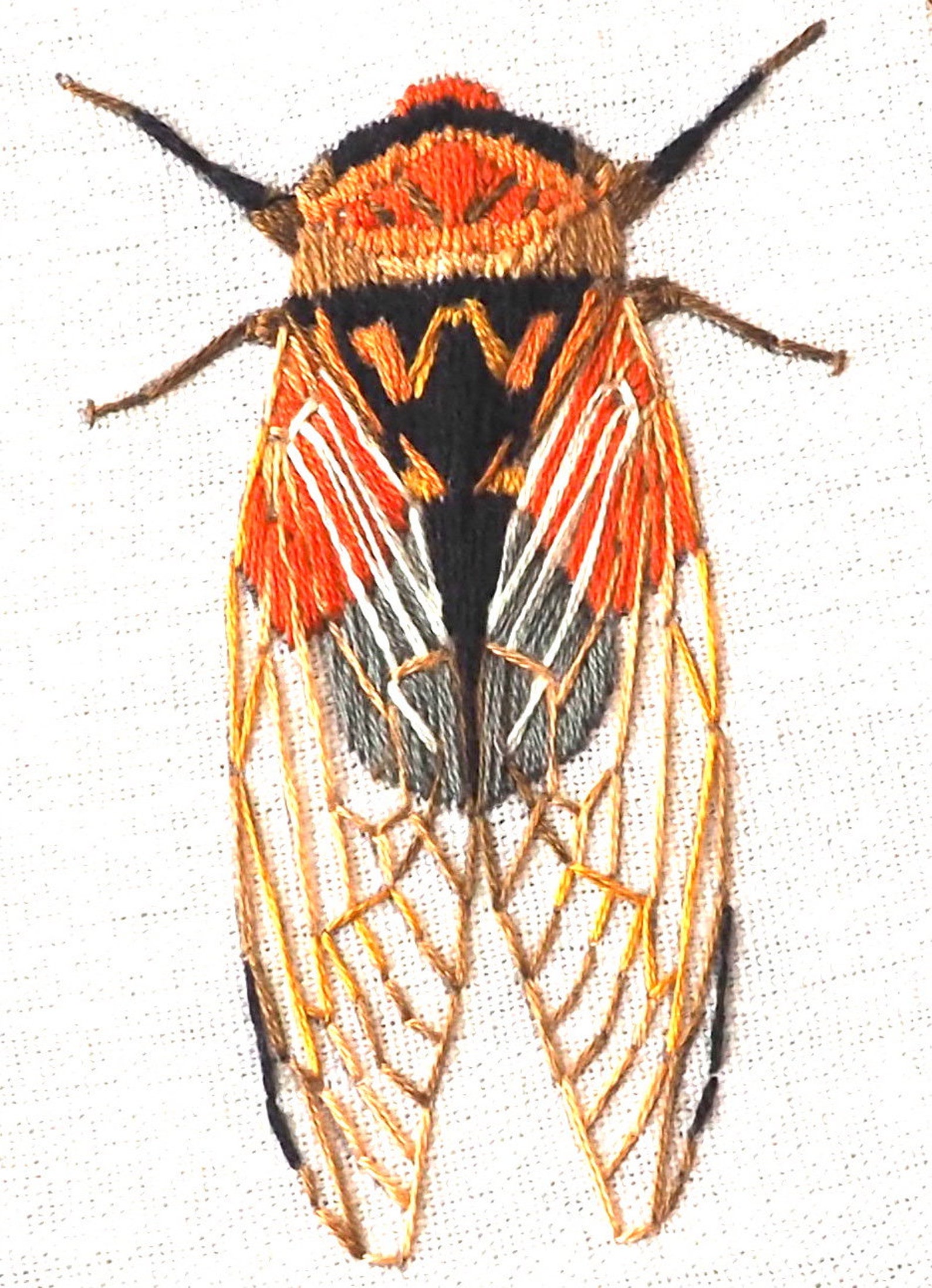 PDF Cicada Embroidery Pattern and Instructions Downloadable Cicada - Etsy