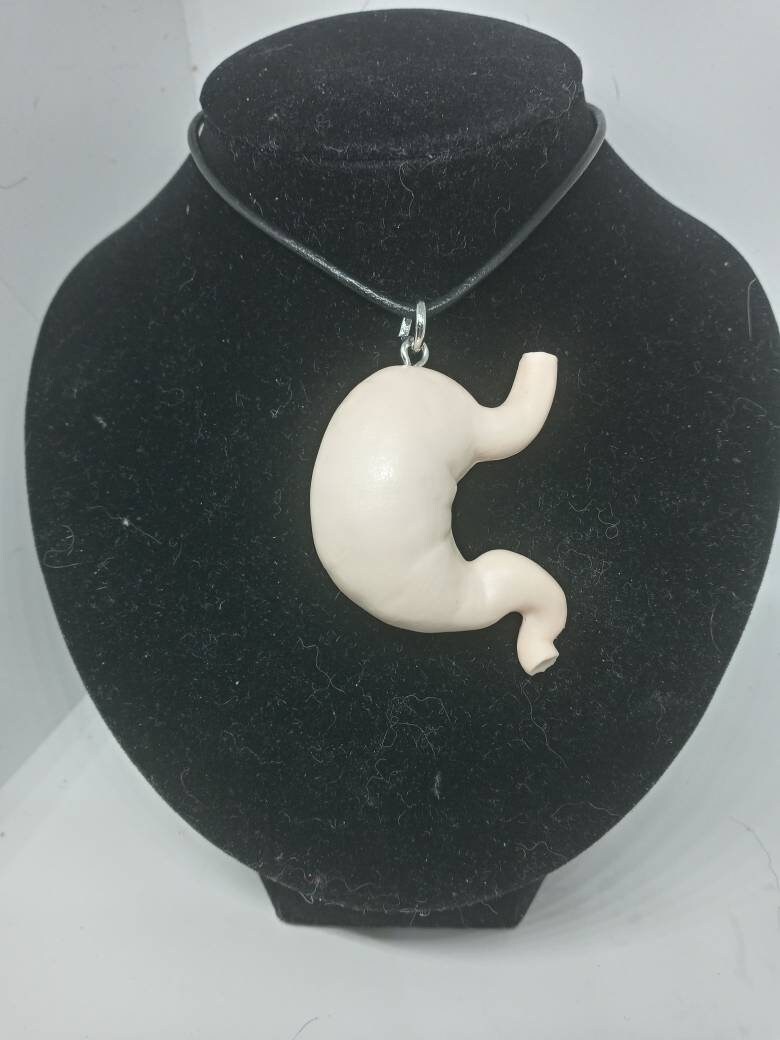 Stomach Necklace - Etsy
