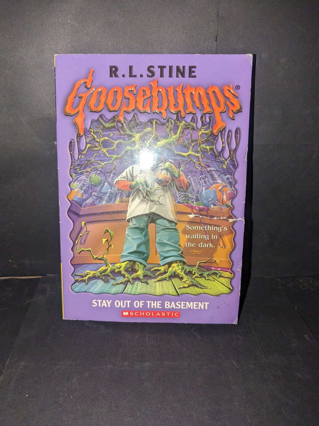 Vintage R.L. Stine Books- Goosebumps Series - Etsy