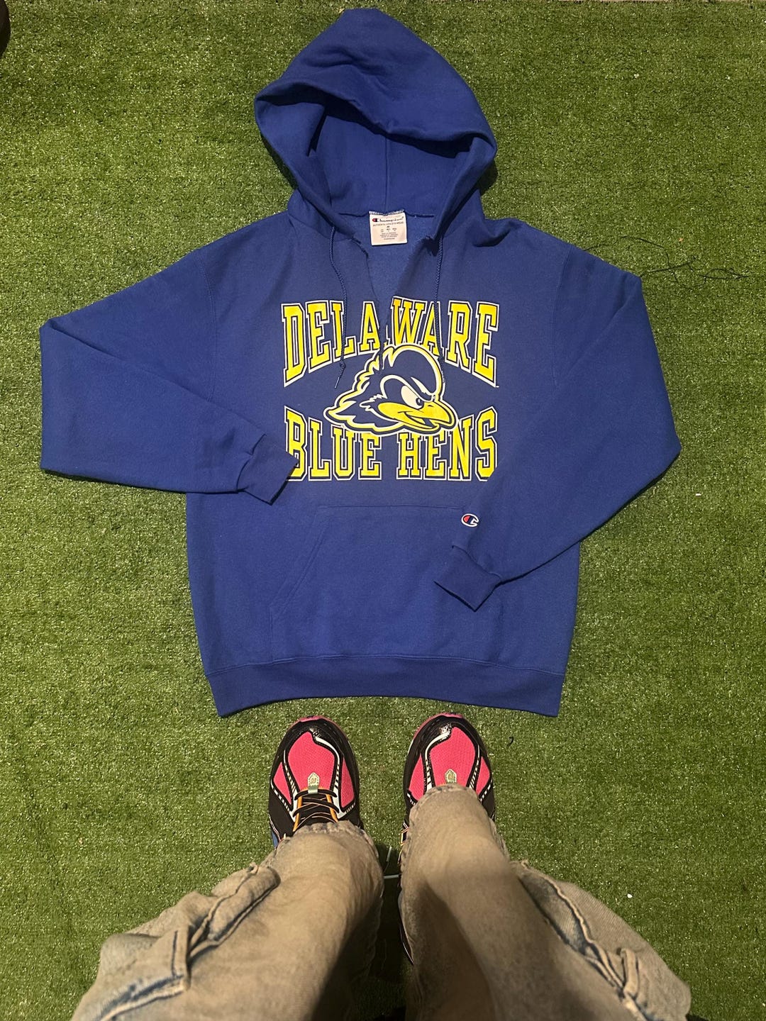 Vintage Delaware Blue Hens Hoodie - Etsy