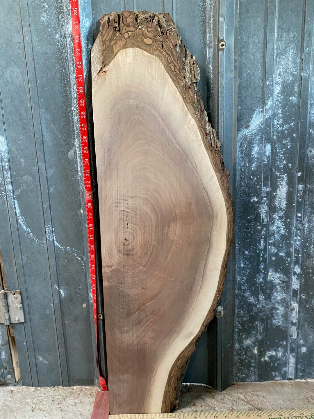 1-1/8 X 12 X 36 Sappy Walnut Live Edge Wood for Shelving or Woodworking ...
