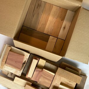 3/4" Box of Small Wood Pieces - Variety Species - Great for Crafting ...