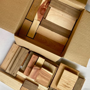 3/4" Box of Small Wood Pieces - Variety Species - Great for Crafting ...
