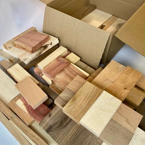 3/4" Box of Small Wood Pieces - Variety Species - Great for Crafting ...