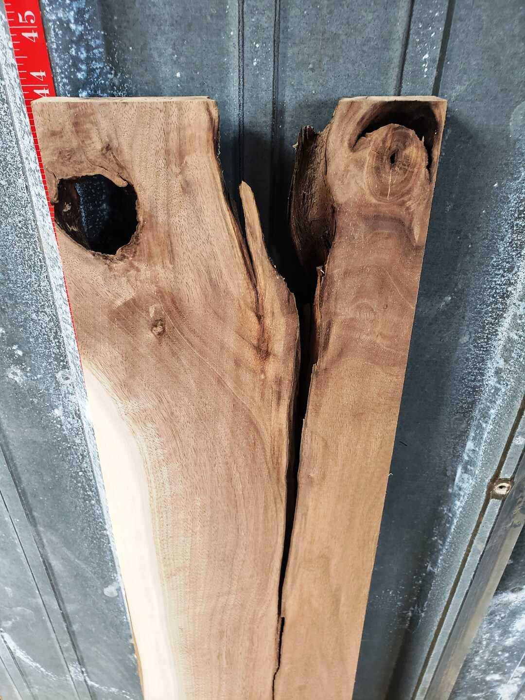 13/16 X 8 X 44 Sappy Walnut WIDE Wood Lumber - Great for Woodworking ...