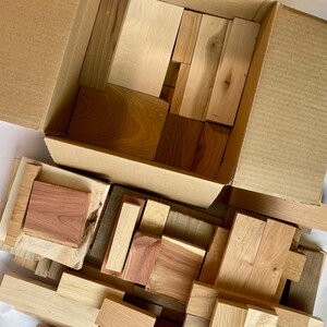 3/4" Box of Small Wood Pieces - Variety Species - Great for Crafting ...