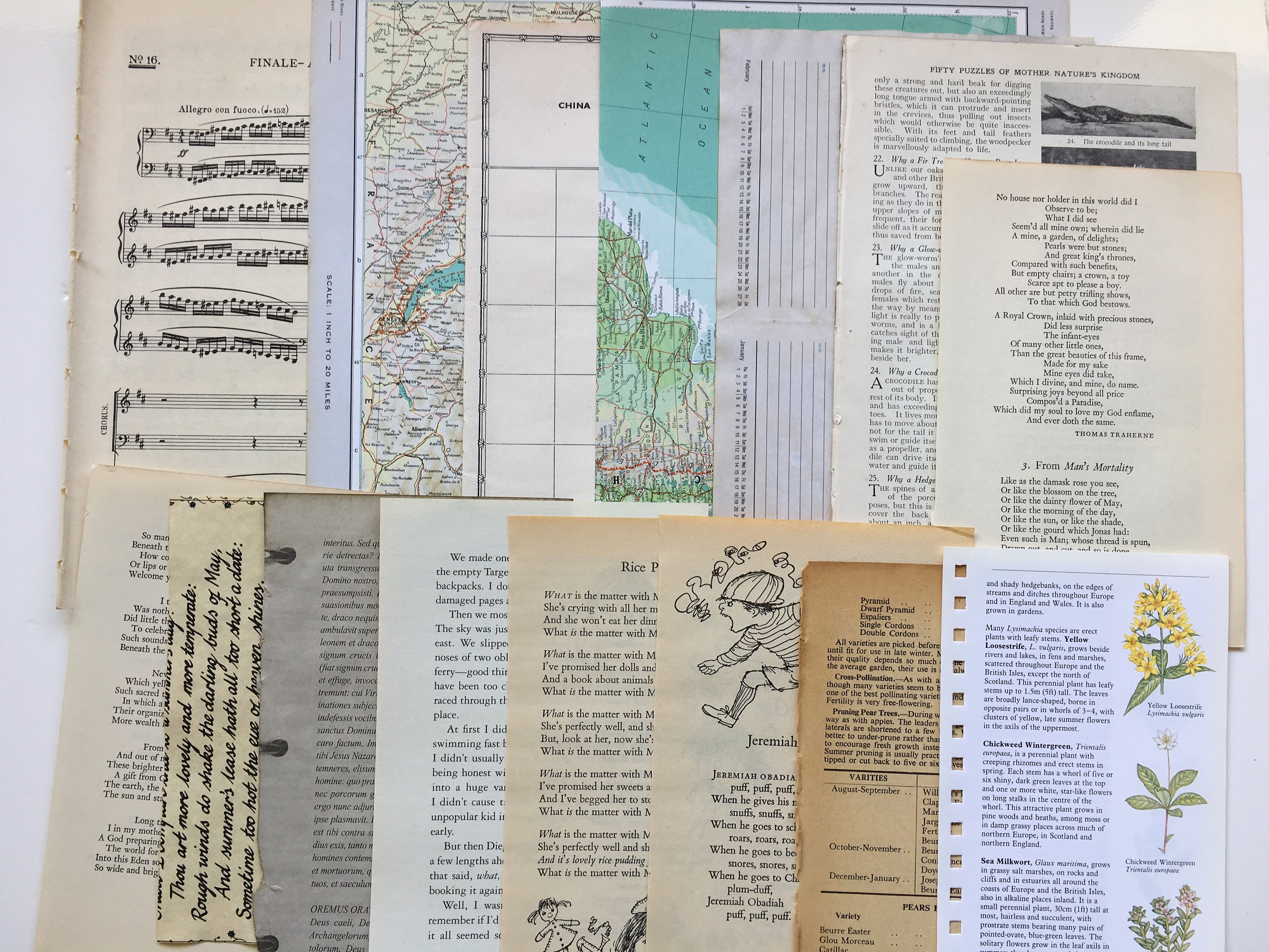 Vintage Book Pages 100 Paper Sheets/200 Sides Music - Etsy