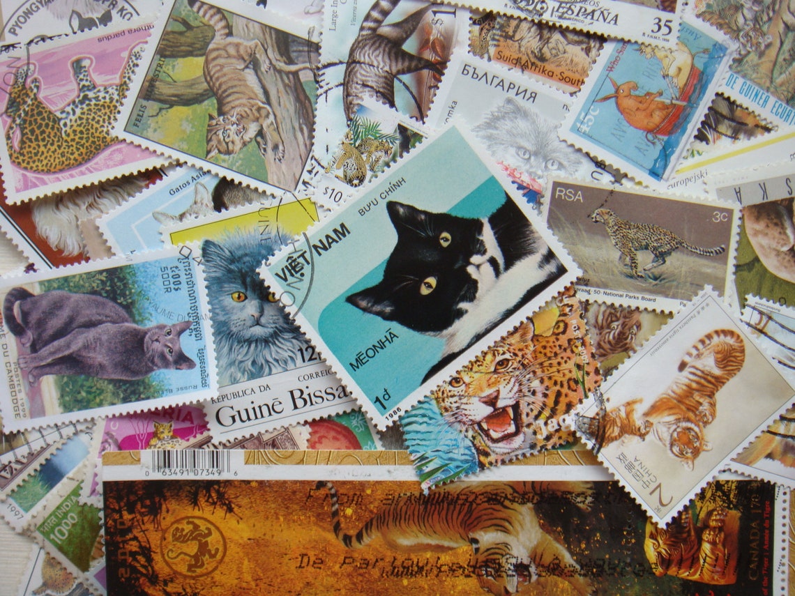 50 Cat Cats Kitten Postage Stamps All Different off Paper - Etsy