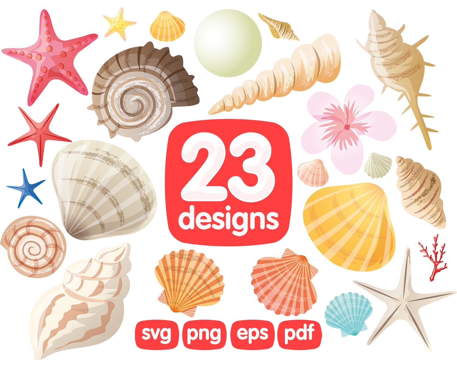 23 Seashell Clipart Bundle Beach Clipart Shell Png Shel - Etsy