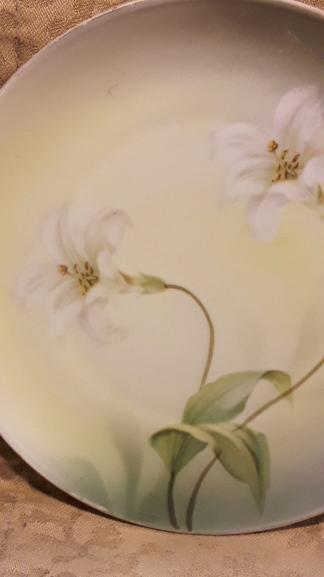 Antique RS Germany 6.1" Plate Porcelain Calla Llilies Victorian Shabby ...