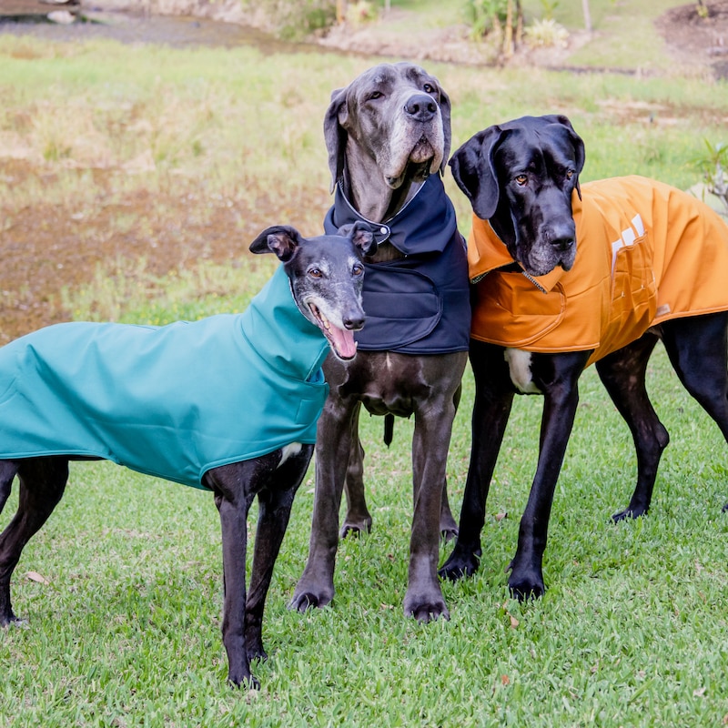 Great Dane Coat - Etsy