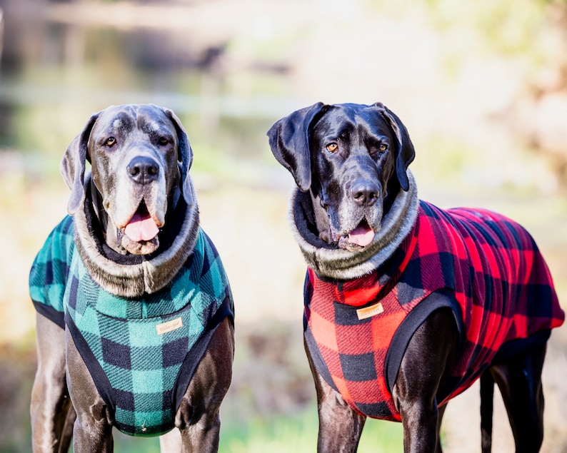 Designer Dog Jumper (the LUMBERJACK) Deluxe Edition for Great Danes ...