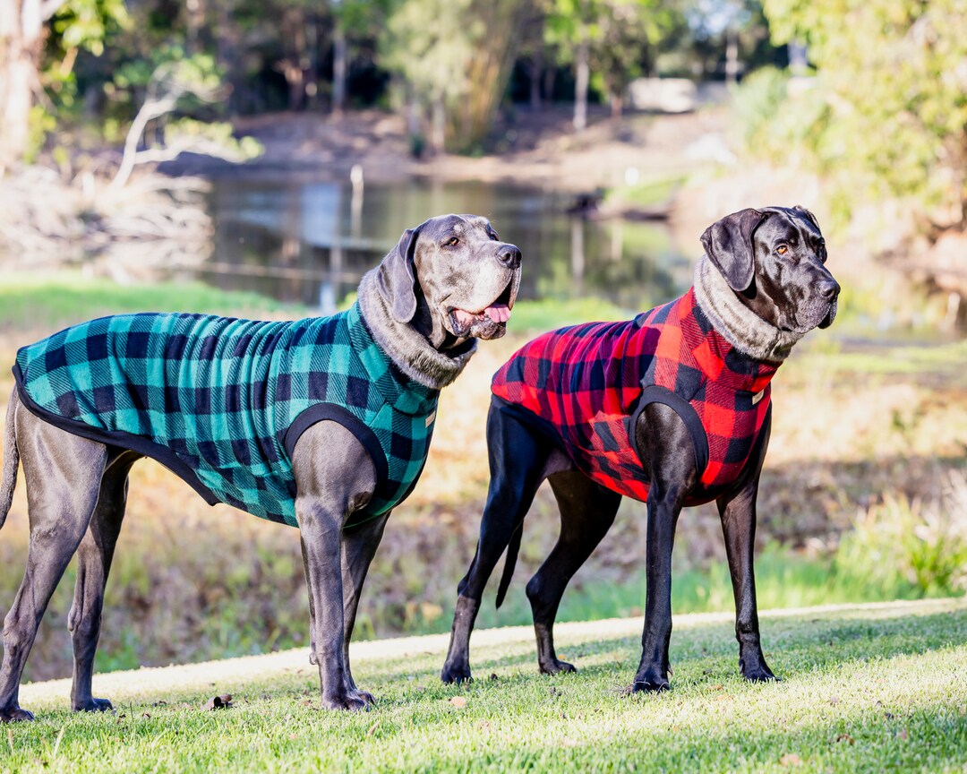 Designer Dog Jumper (the LUMBERJACK) Deluxe Edition for Great Danes ...