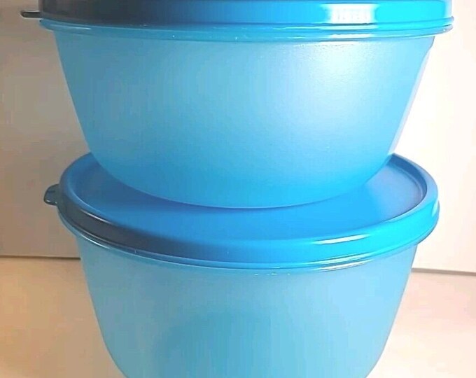 Vintage Set of 2 Tupperware Modular Blue Bowls With Blue Lids - Etsy