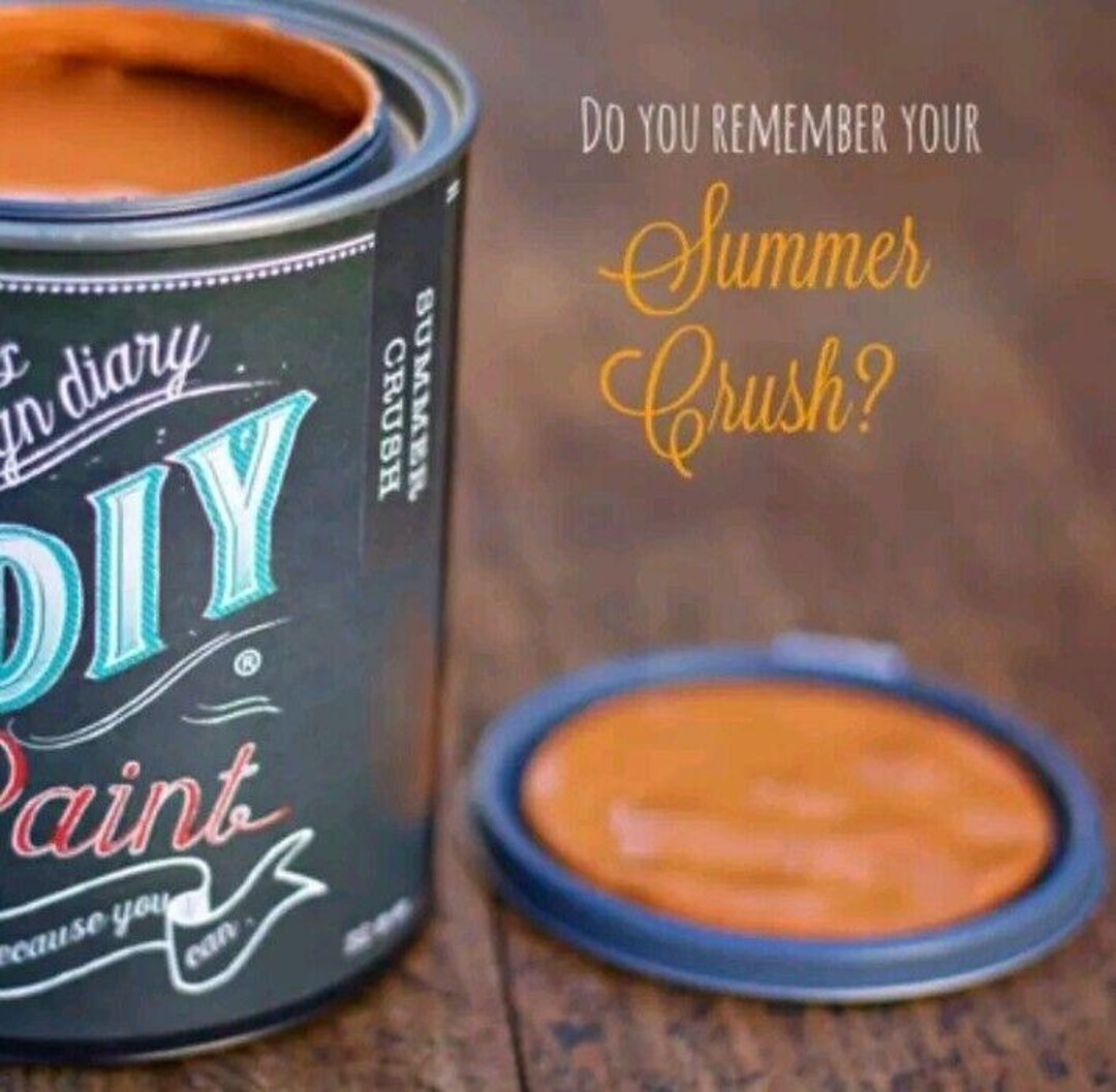 NEW Debi's Design Diary DIY Paint in Summer Crush Orange 32 Oz Chalk ...