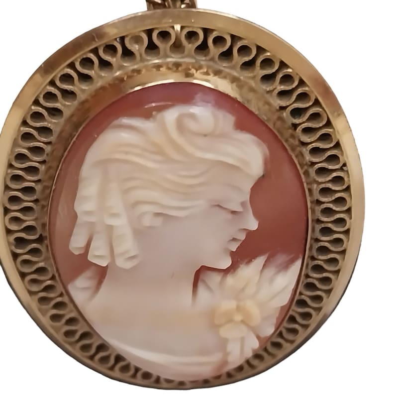Vintage Signed Winard 1/20 12K GF Cameo Shell Carved Necklace Clip on Earrings - Etsy