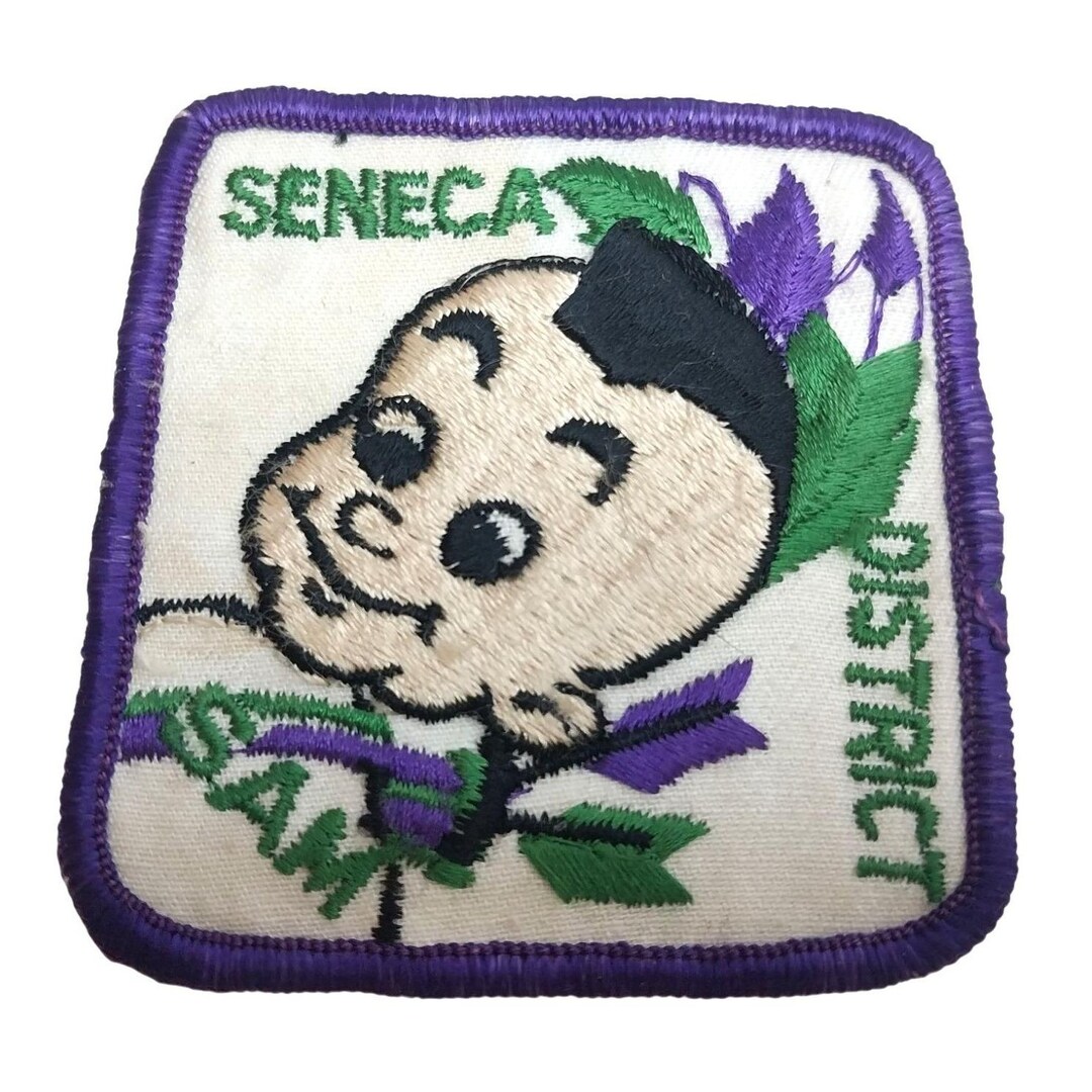 Boy Scouts BSA Vintage Seneca District Embroidered Patch Green Purple ...