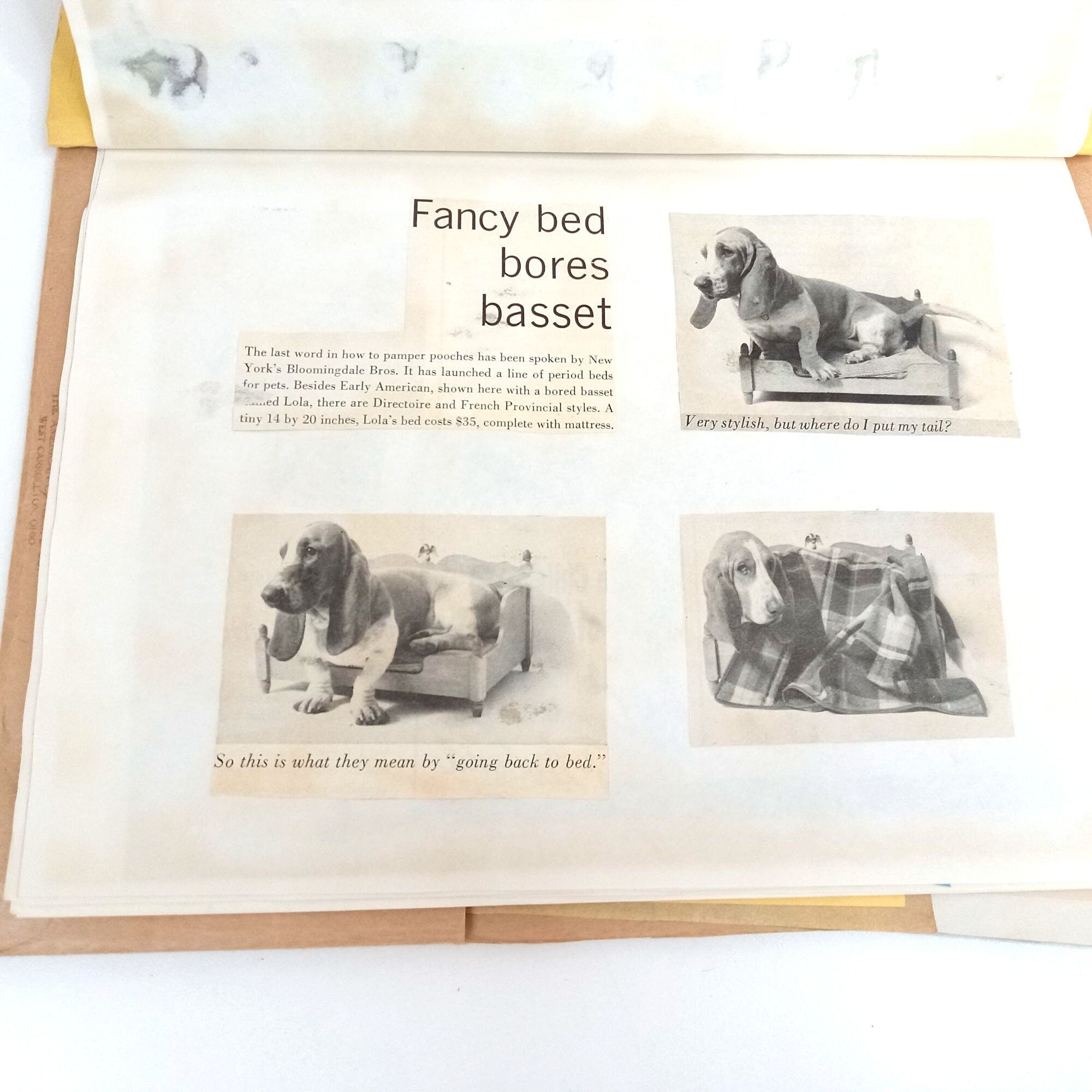 Handwritten Homemade Girl Scout Cat & Dog Badge Project 1960 - Etsy