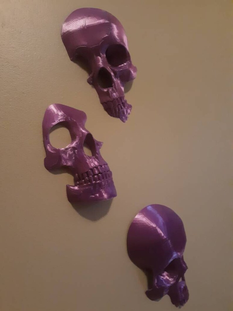 3d Printed Skull Model Wall Art | Etsy