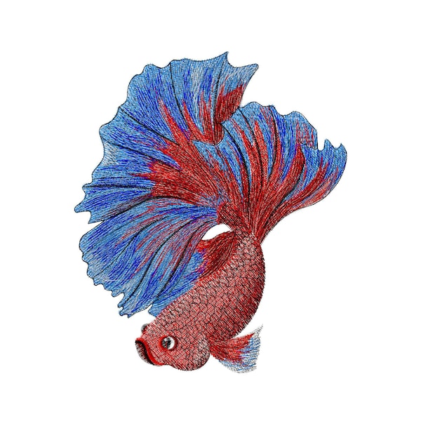 Beta Fish - Etsy