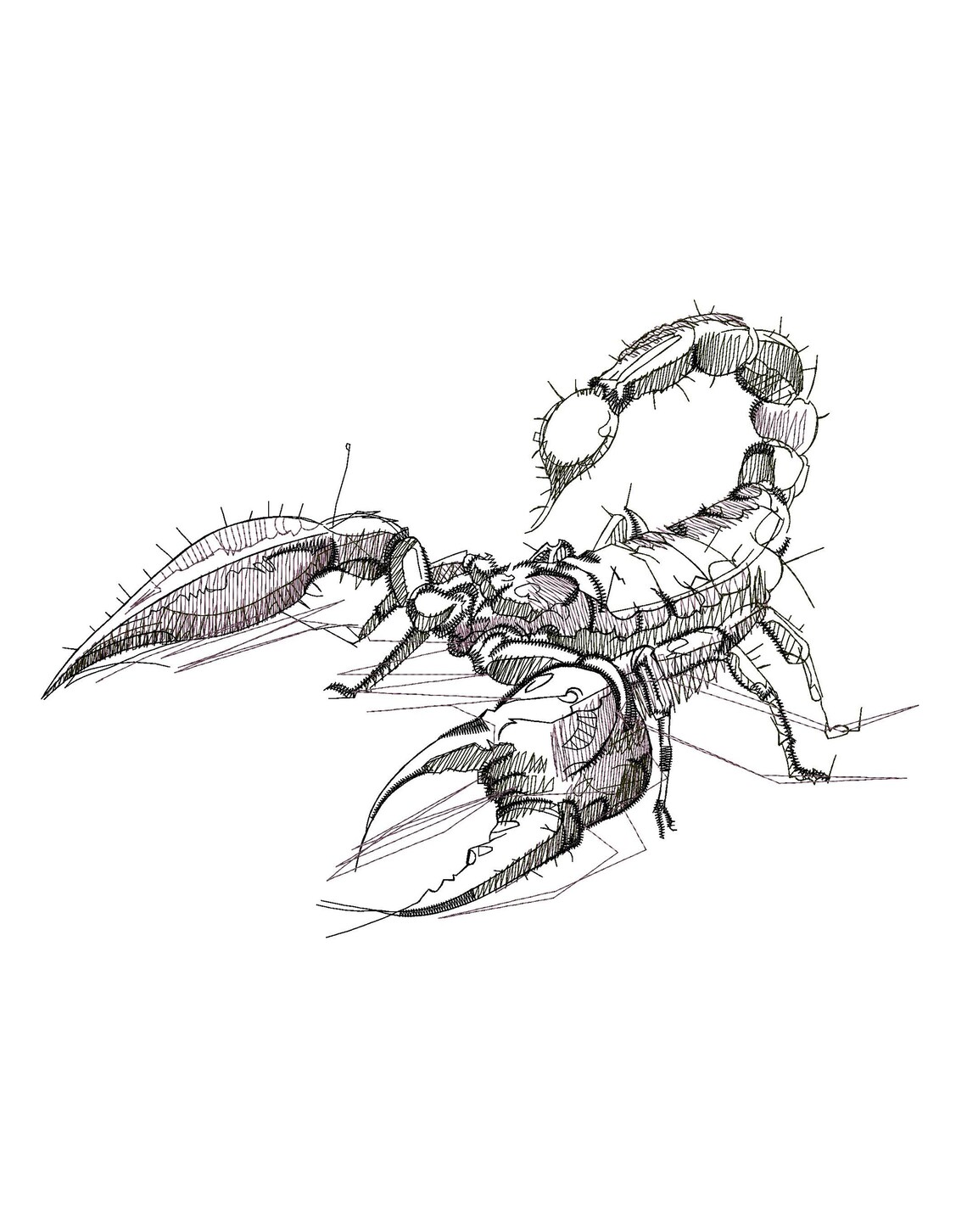 Scorpion Embroidery Design Machine Embroidery Designs - Etsy