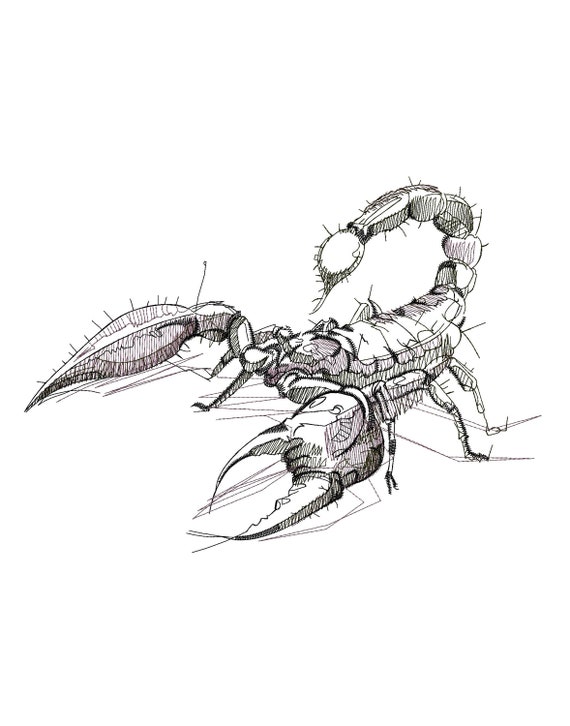 Scorpion Embroidery Design Machine Embroidery Designs | Etsy
