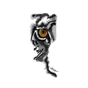 Tiger Eye Embroidery Design: Machine Applique (digital File) - Etsy