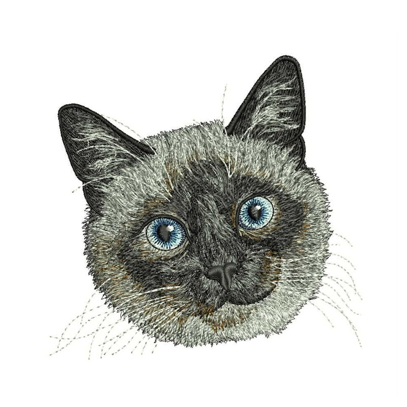 Cat Embroidery - Etsy