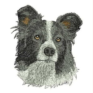 Border Collie - Etsy