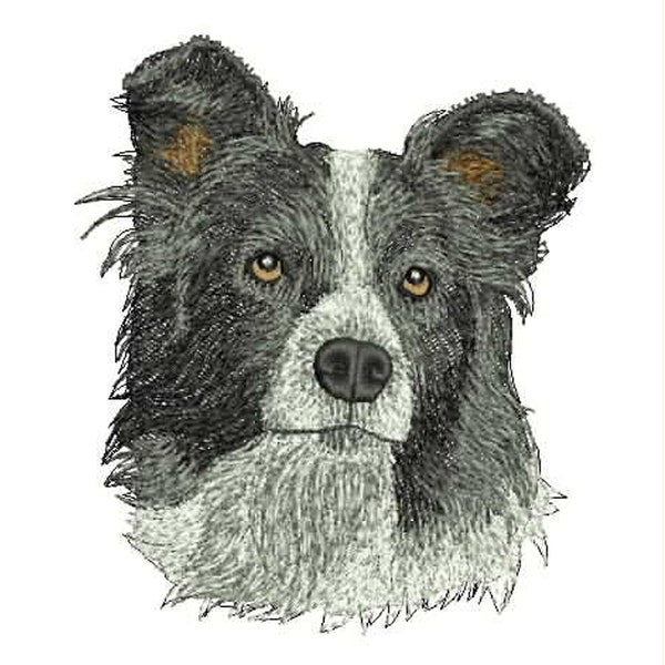 Collie - Etsy