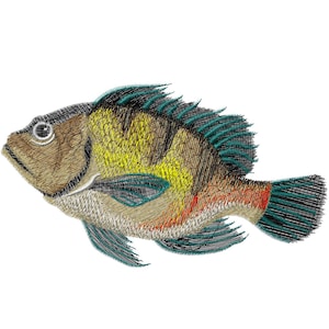 Tilapia Fish Embroidery Art: Village Life Design (digital Designs) - Etsy
