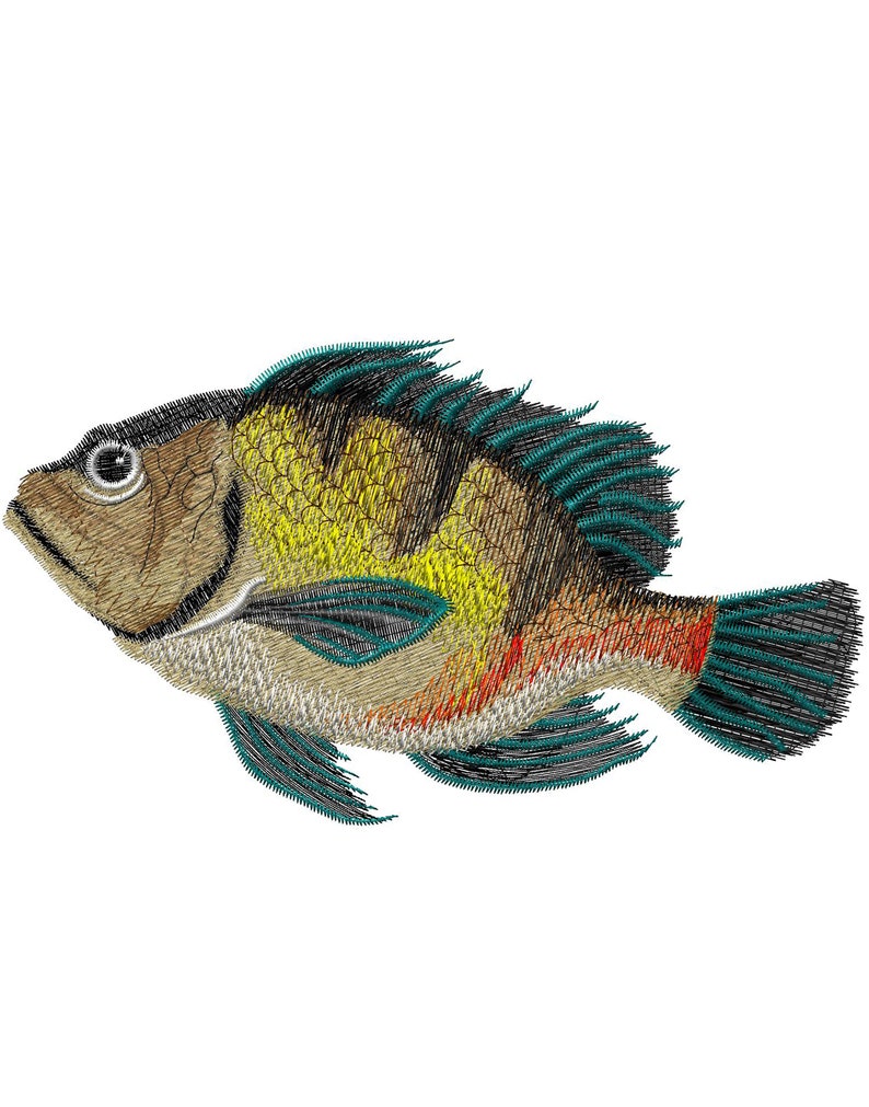 Tilapia Fish Embroidery Art: Village Life Design (digital Designs) - Etsy