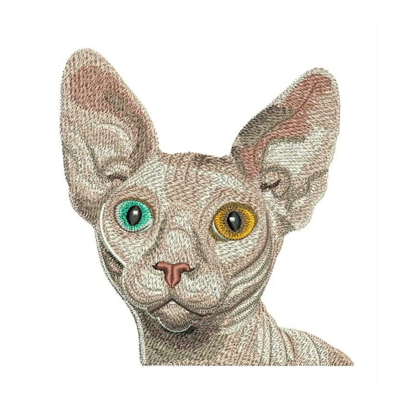 Sphynx Cat Embroidery Kit - Etsy