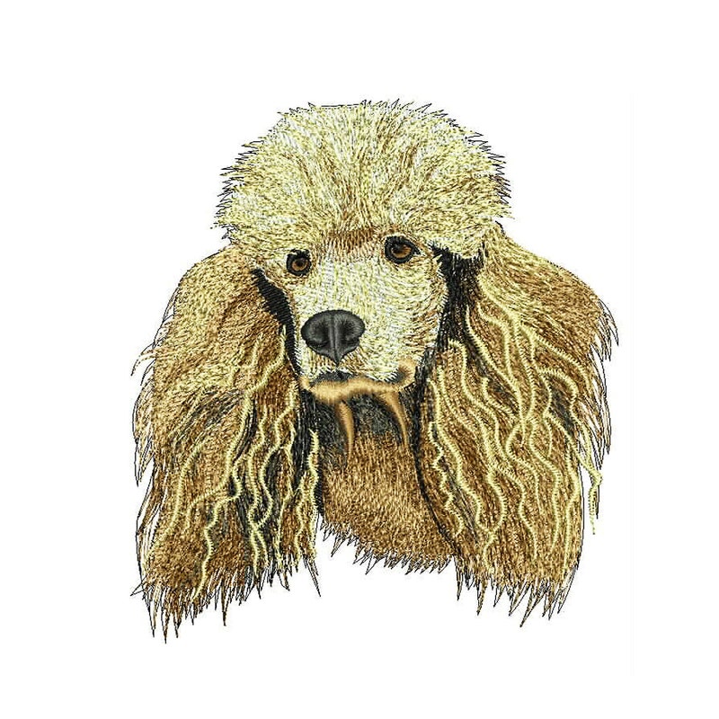 Poodle Embroidery - Etsy