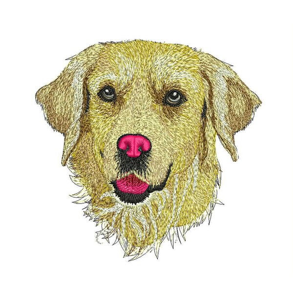 Machine Embroidery Designs Golden Retriever - Etsy