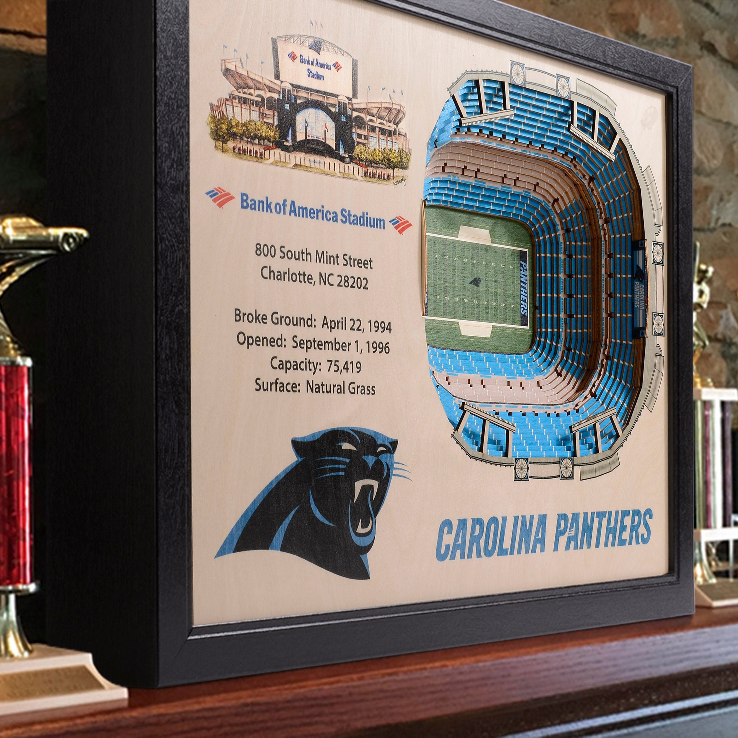 CAROLINA PANTHERS Bank of America Stadium 3d Replica 25 Layer - Etsy