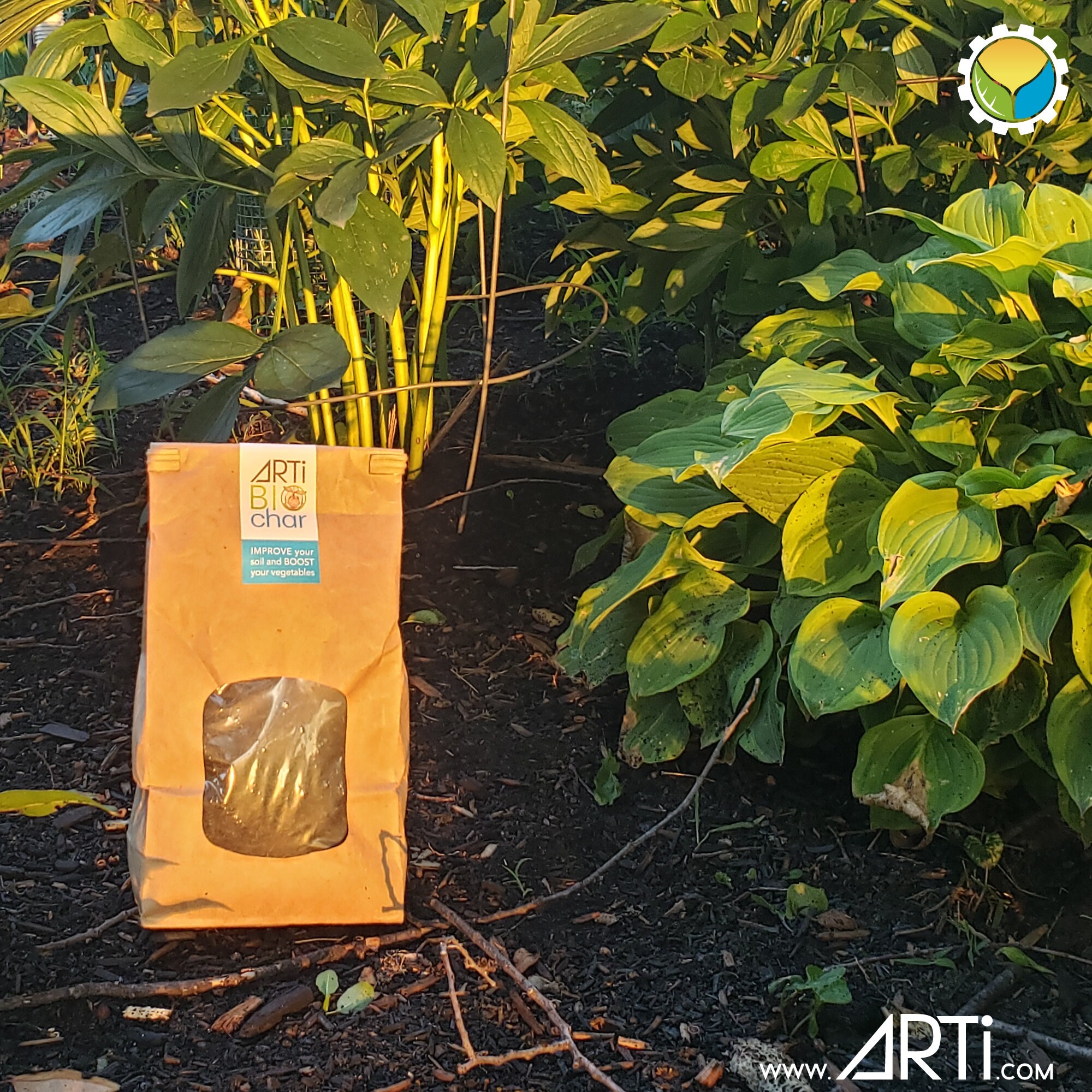 Arti Biochar Granular Particles 1/2 Quart - Etsy Singapore