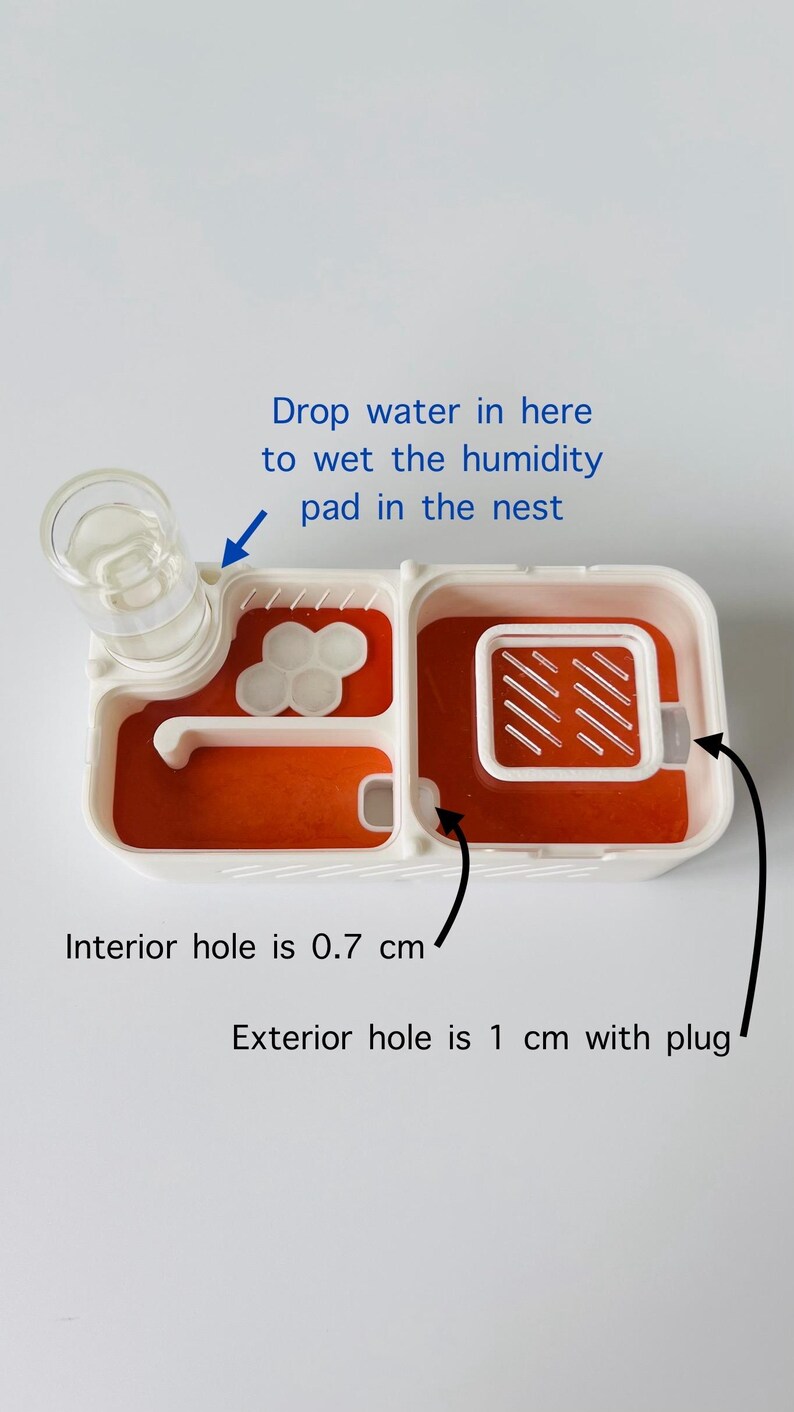 MINI Rectangular Ant Farm 3D Printed Nest With Acrylic Cover and Glass ...