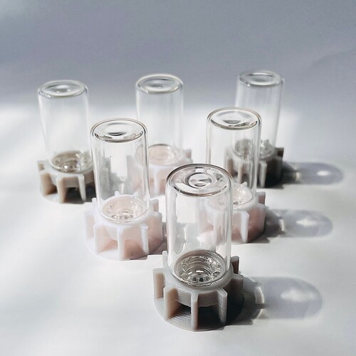 Ant Queen Starter Kit Test Tube and Box - Etsy