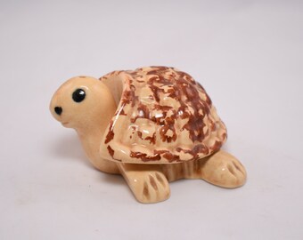 Turtle Shell Shaker - Etsy