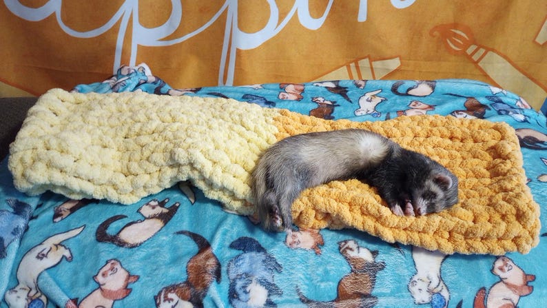 Hand Knitted Chunky Yarn Ferret Tunnel: 34" Cozy Pet Play - Etsy