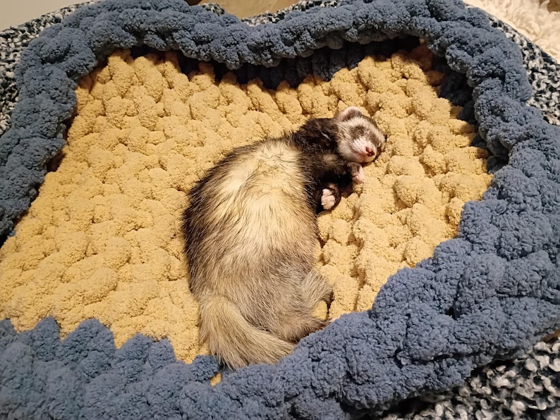 Hand Knitted Chunky Yarn Pet Blanket Bed: Ferrets, Small Animals - Etsy