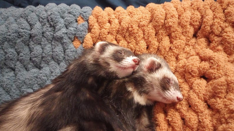 Hand Knitted Ferret Snuggle Pocket: Chunky Yarn Sleeping Sack - Etsy